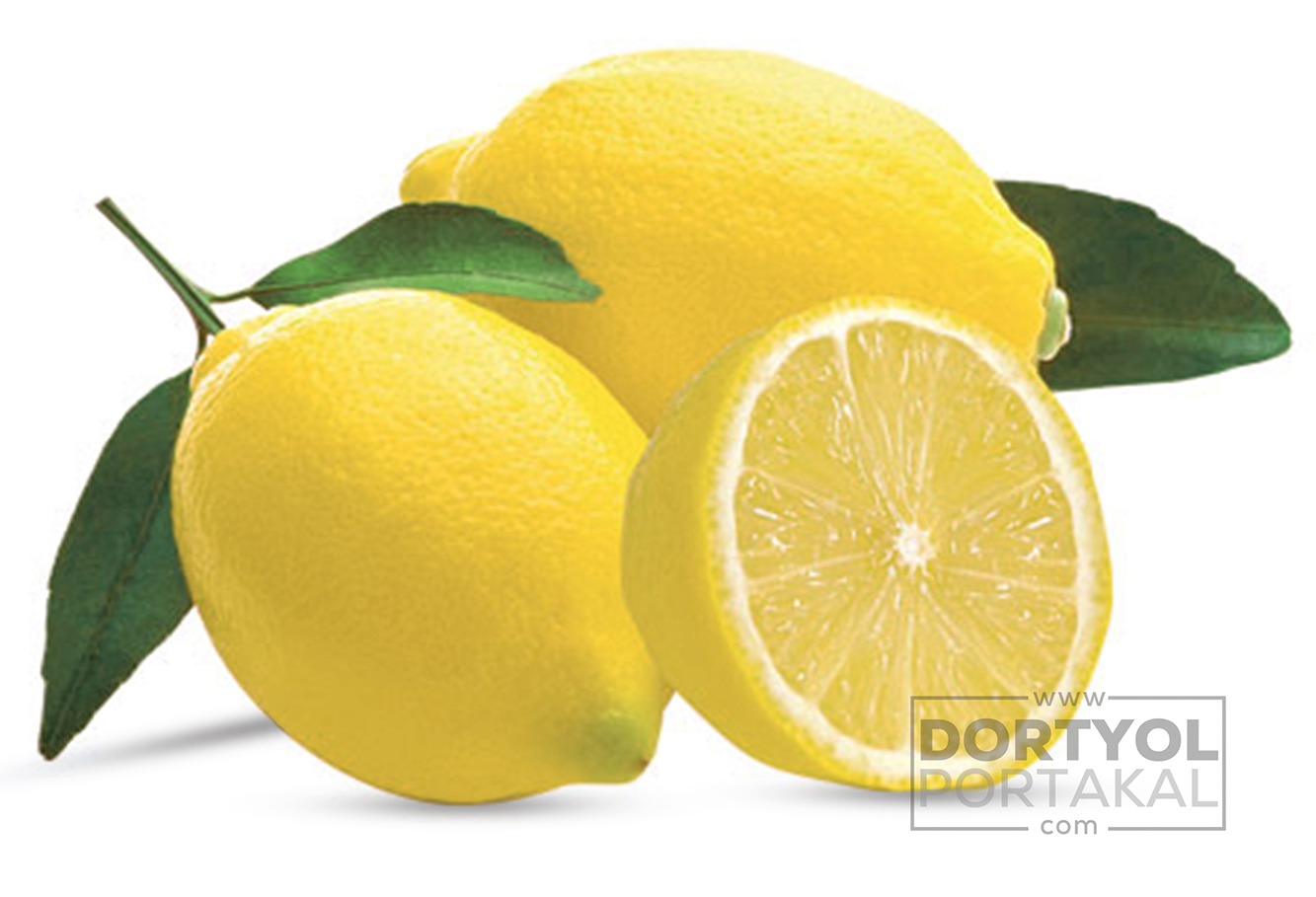 Limon Çeşitleri – Dörtyol Portakal