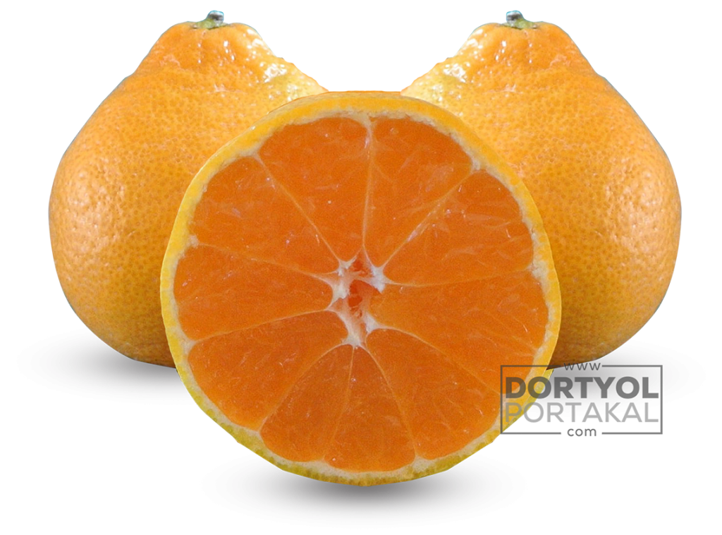 Mihowase Mandalina – Dörtyol Portakal